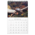 Wildlife Conservation Calendar | Zazzle