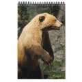 Wildlife Conservation Calendar | Zazzle