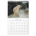 Wildlife Conservation Calendar | Zazzle