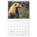 Wildlife Conservation Calendar | Zazzle