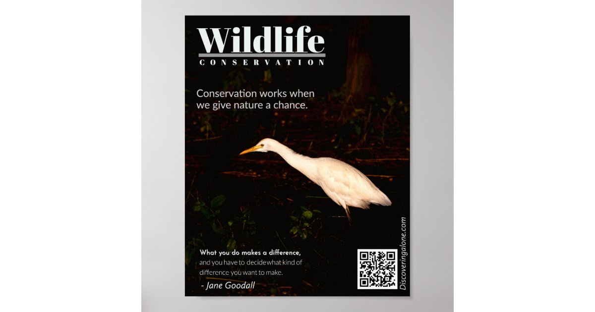 Wildlife Conservation Poster - Jane Goodall Quote | Zazzle