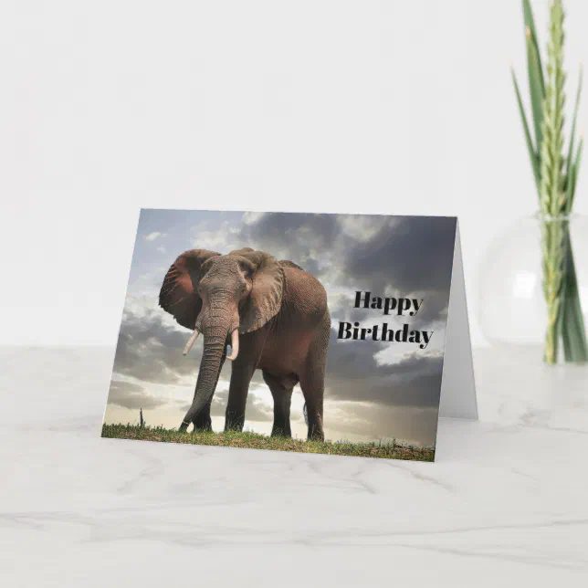 Wildlife Elephant Photo Birthday Card | Zazzle