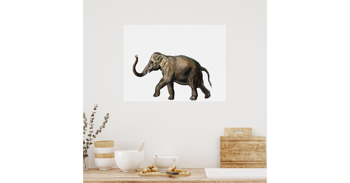 Wildlife Elephant Poster | Zazzle