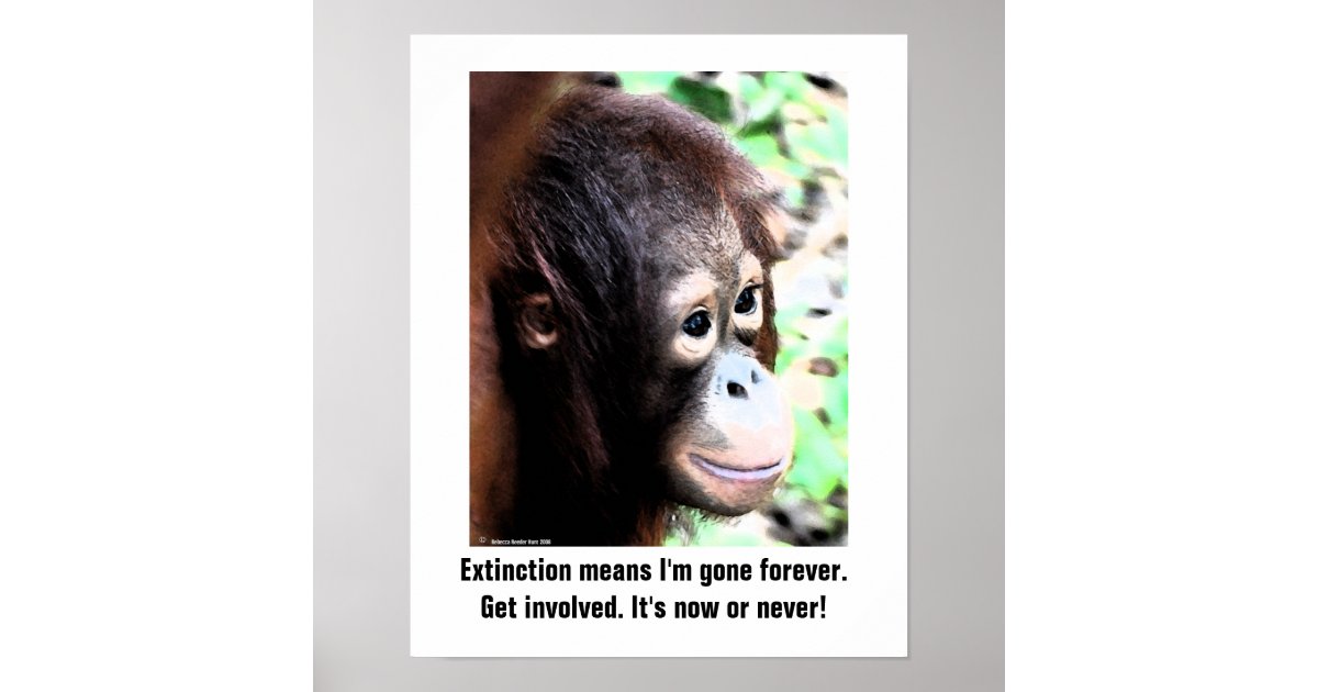 Wildlife Extinction poster | Zazzle