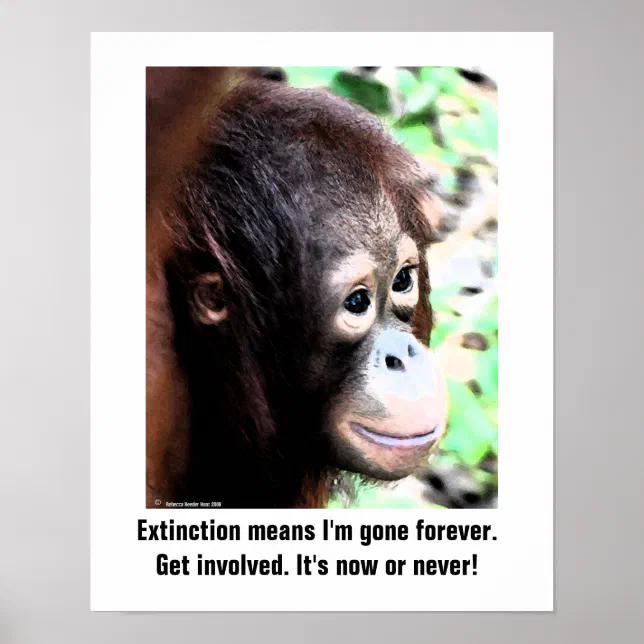 Wildlife Extinction poster | Zazzle