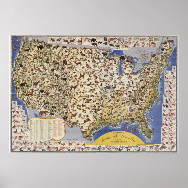 Wildlife & Game Map of the United States Poster | Zazzle