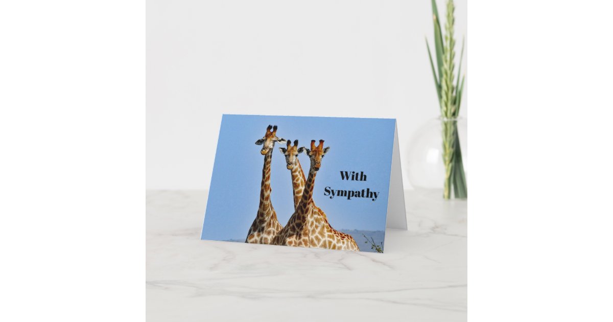Wildlife Giraffe Herd Photo Sympathy Card | Zazzle