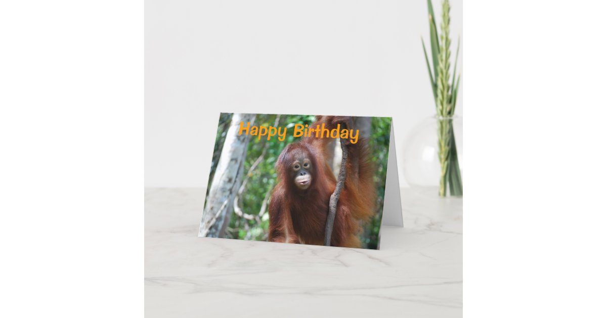 Wildlife Happy Birthday Card | Zazzle