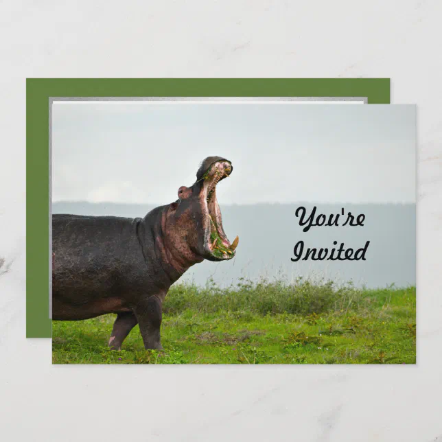 Wildlife Hippopotamus Photo Birthday Invitation | Zazzle