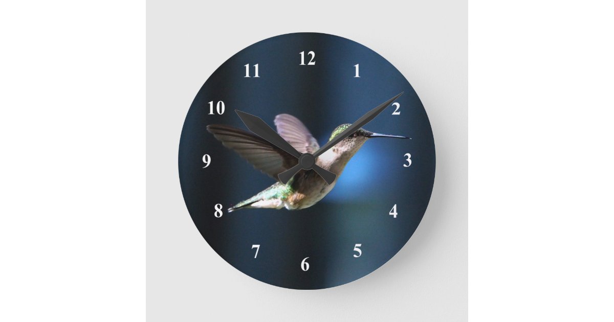 Wildlife Hummingbird Photo Round Clock | Zazzle
