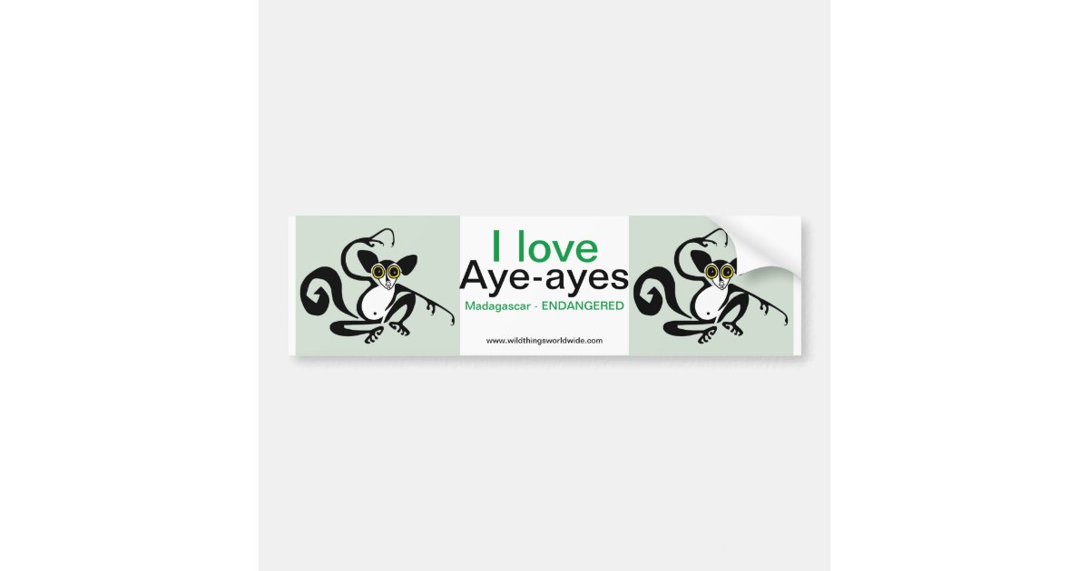 Wildlife - I love AYE-AYEs - Nature Bumper Sticker | Zazzle