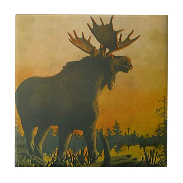 Wildlife Moose In Lowland Marsh Swamp Donkey Tile | Zazzle