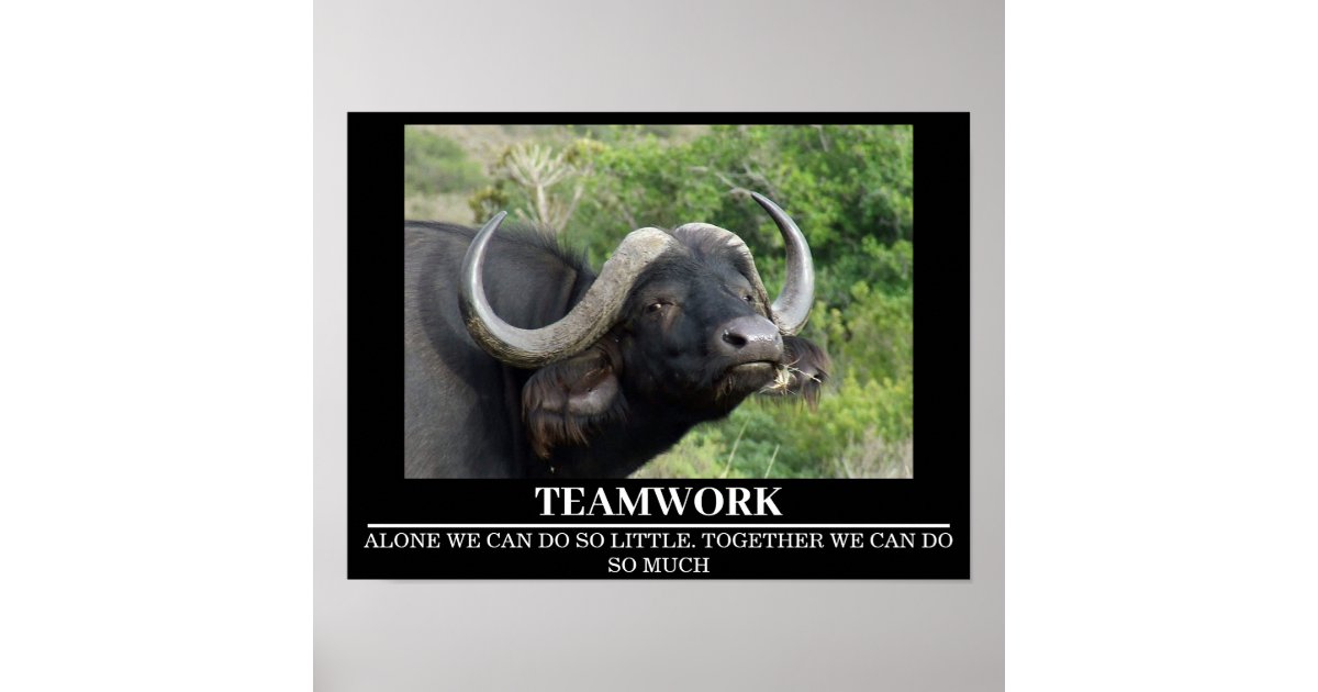 Wildlife Motivational Posters Buffalo Teamwork | Zazzle