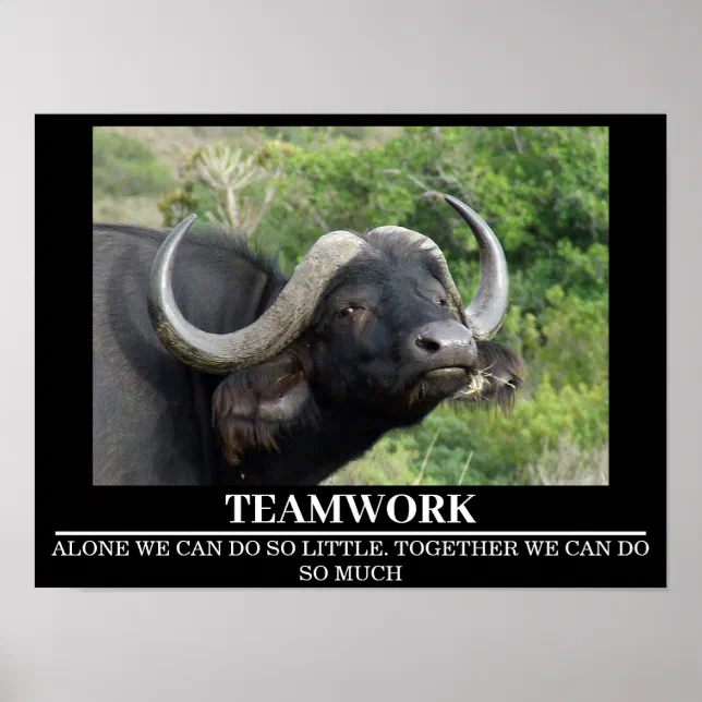 Wildlife Motivational Posters Buffalo Teamwork | Zazzle