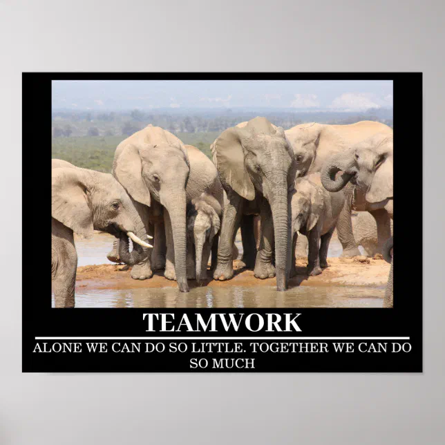 Wildlife Motivational Posters Elephant Teamwork | Zazzle