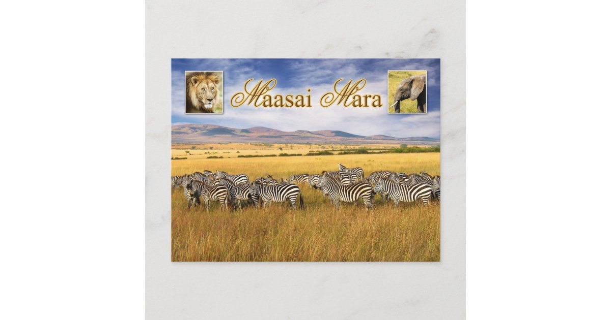 Wildlife of Maasai Mara in Kenya Postcard | Zazzle