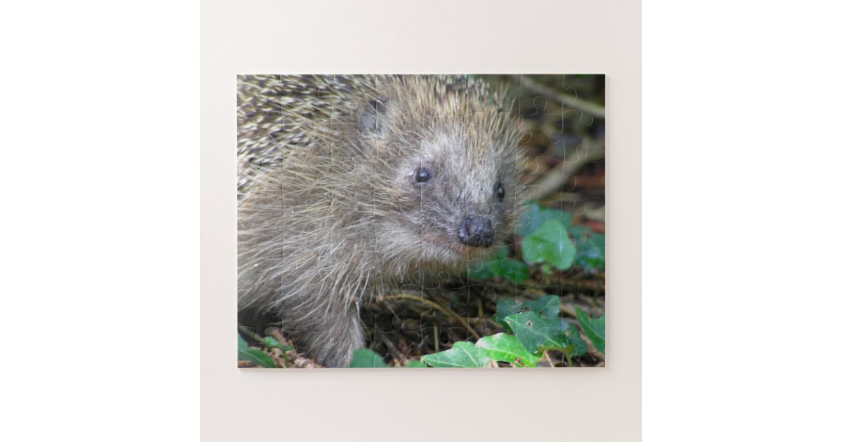 Wildlife Puzzle: Cute Hedgehog Jigsaw Puzzle | Zazzle
