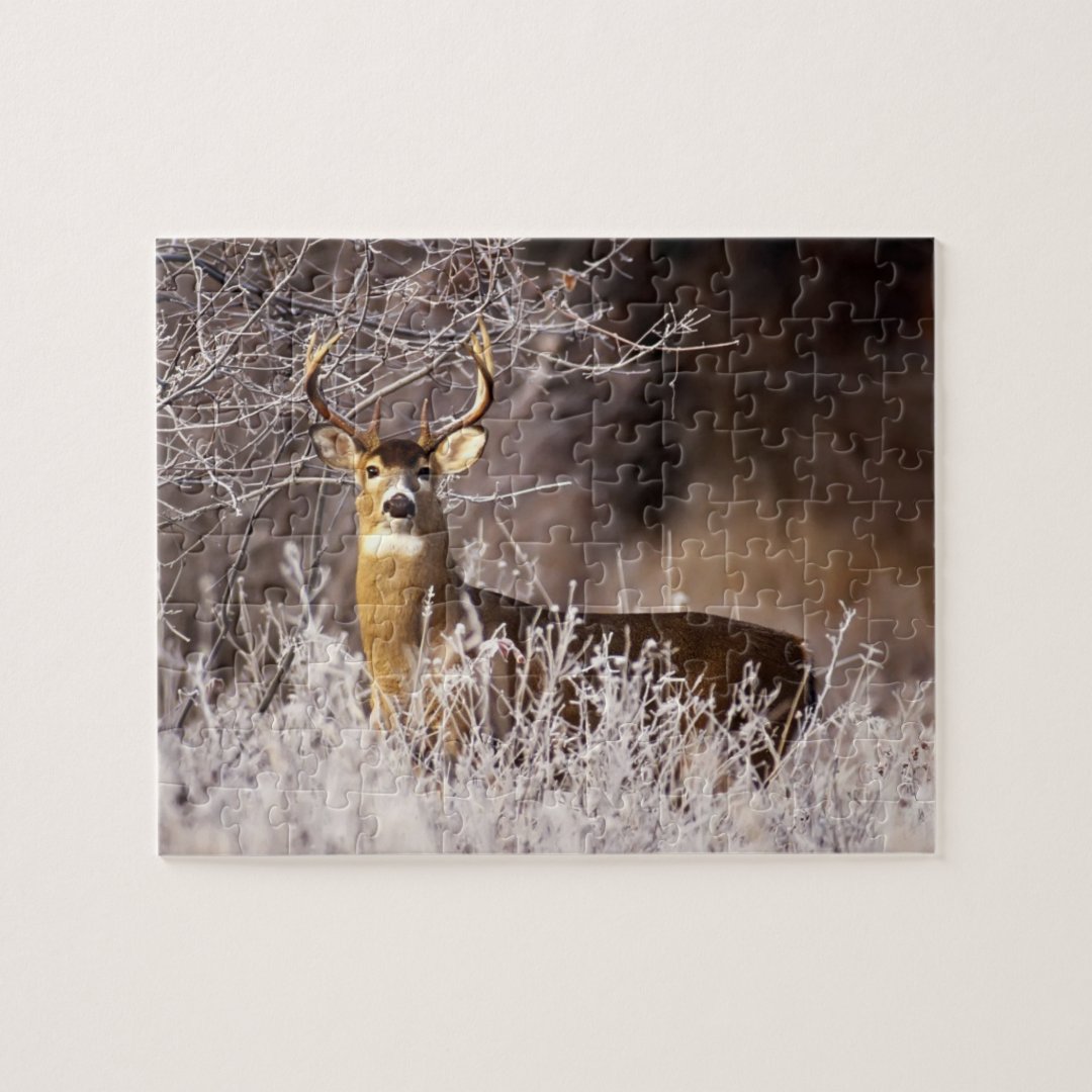 Wildlife Puzzle-Deer Jigsaw Puzzle | Zazzle