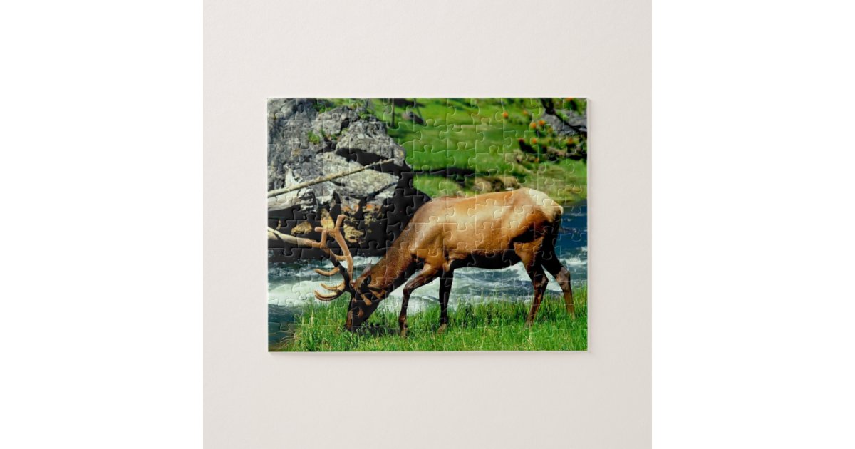Wildlife Puzzle-Elk Jigsaw Puzzle | Zazzle