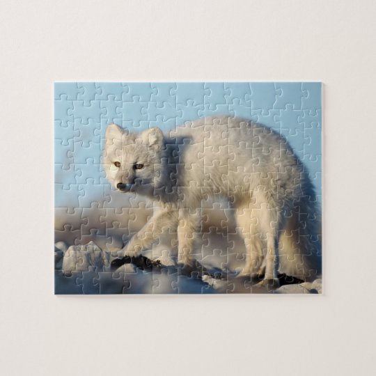 Wildlife Puzzle-Fox Jigsaw Puzzle | Zazzle.com