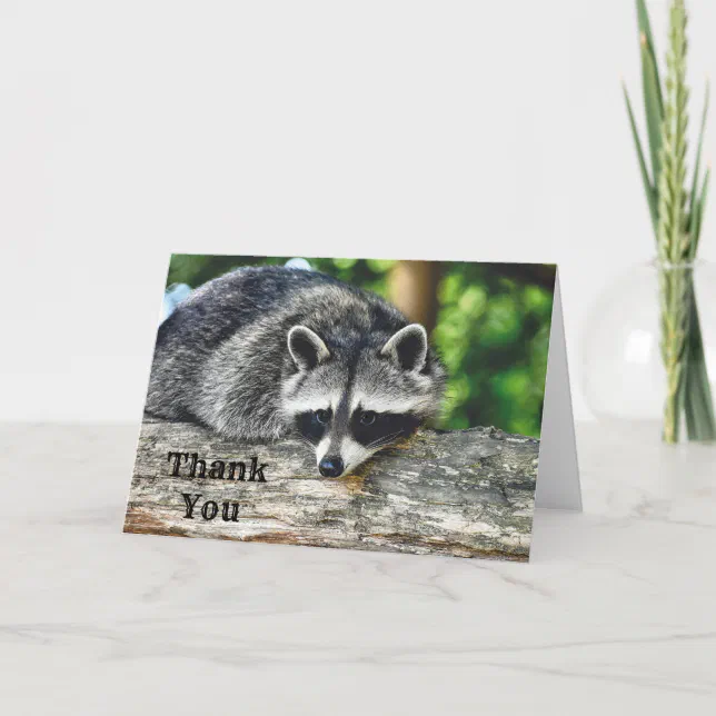 Wildlife Raccoon Log Mammal Photo Thank You Card | Zazzle