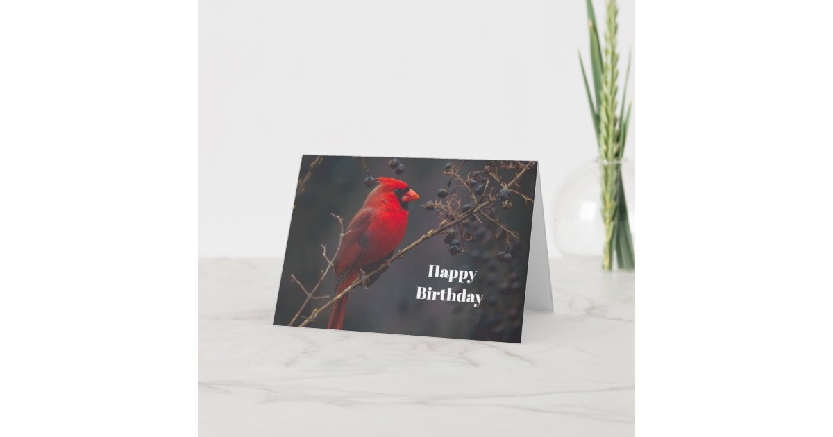 Wildlife Red Cardinal Birthday Card | Zazzle