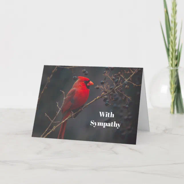 Wildlife Red Cardinal Photo Sympathy Card | Zazzle
