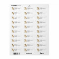 Wildlife Robin Bird Return Address Labels | Zazzle