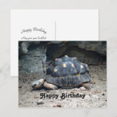 Wildlife Tortoise Reptile Photo Birthday Postcard | Zazzle