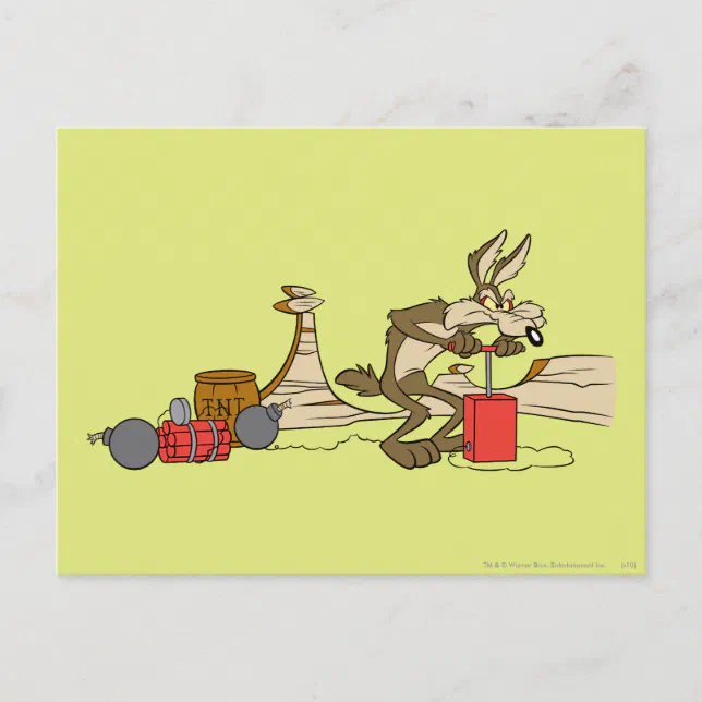 WILE E. COYOTE™ ACME TNT POSTCARD | Zazzle