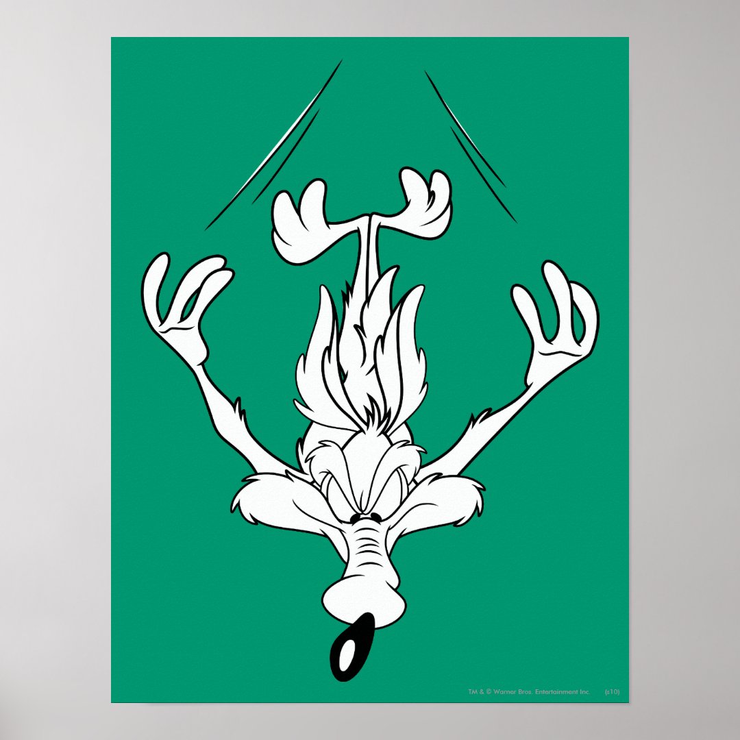 Wile E. Coyote Dive Bomb Poster | Zazzle