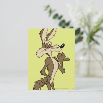 WILE E. COYOTE™ Looking Proud Postcard | Zazzle