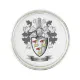 Wiley Family Crest Coat of Arms Lapel Pin | Zazzle