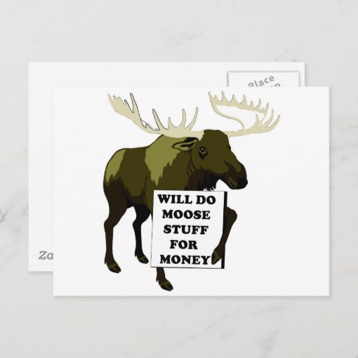 Will Do Moose Stuff For Money Postcard | Zazzle