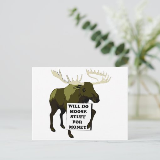 Will Do Moose Stuff For Money Postcard | Zazzle