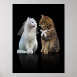 Will you meow me? poster | Zazzle