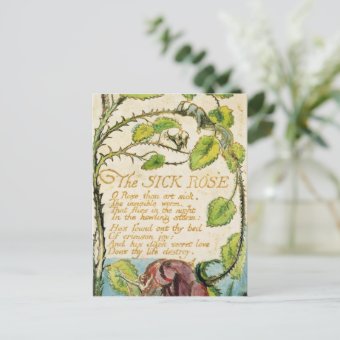 William Blake | The Sick Rose, from Songs of Innoc Postcard | Zazzle