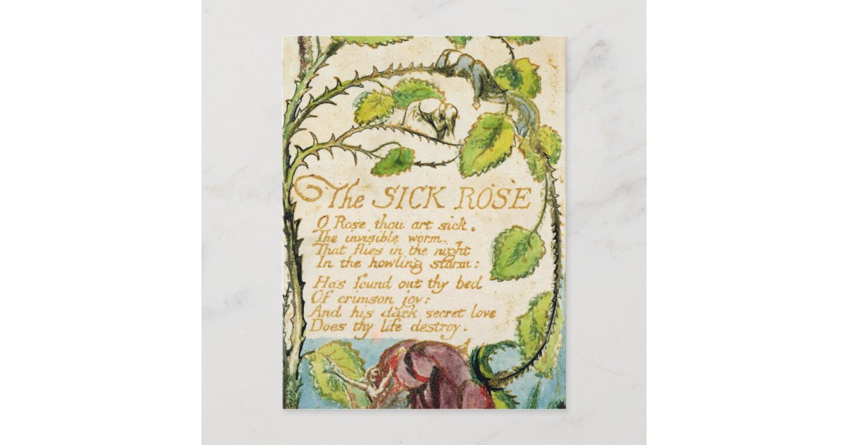 William Blake | The Sick Rose, from Songs of Innoc Postcard | Zazzle