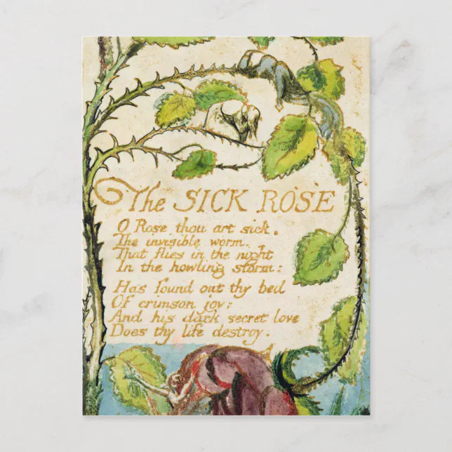 William Blake | The Sick Rose, from Songs of Innoc Postcard | Zazzle