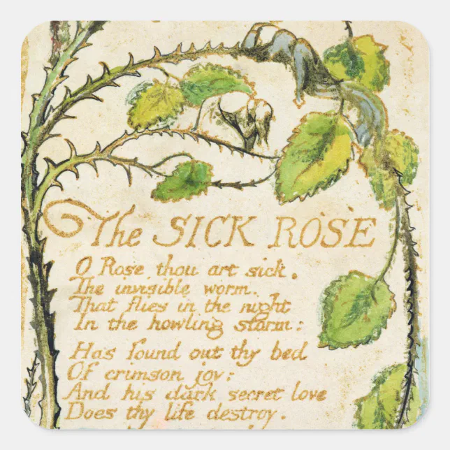William Blake | The Sick Rose, from Songs of Innoc Square Sticker | Zazzle