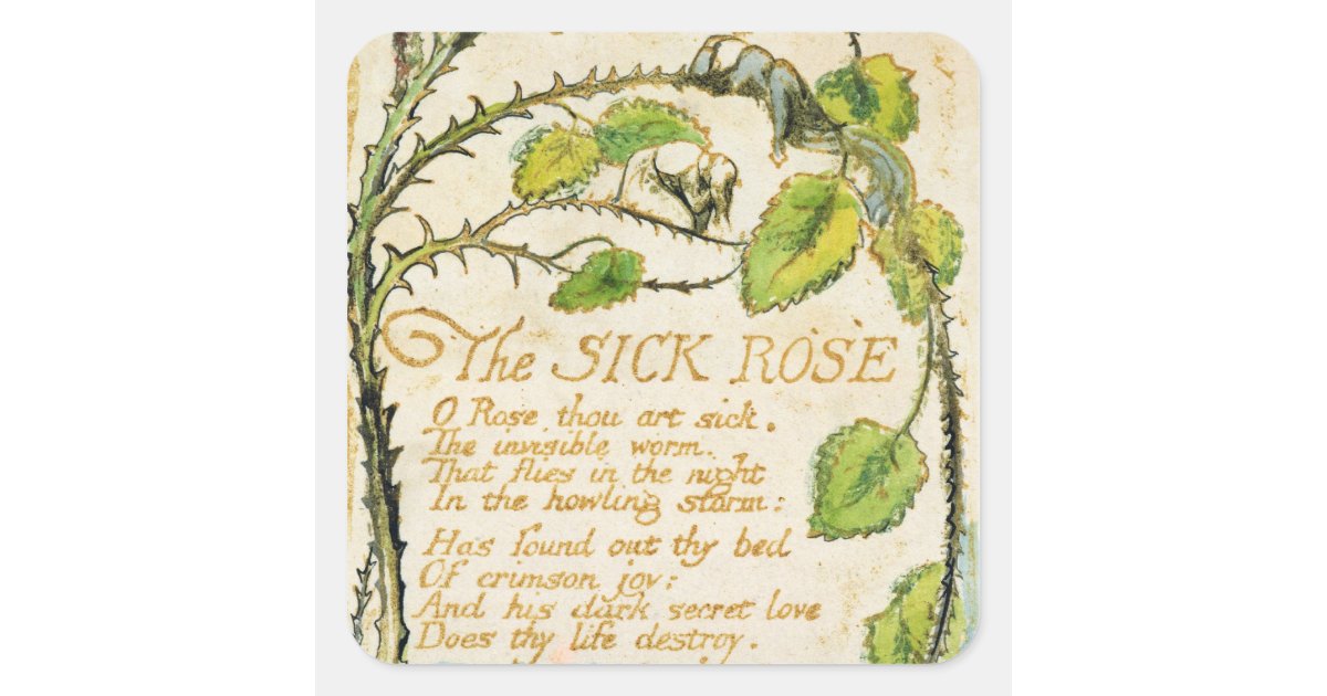 William Blake | The Sick Rose, from Songs of Innoc Square Sticker | Zazzle