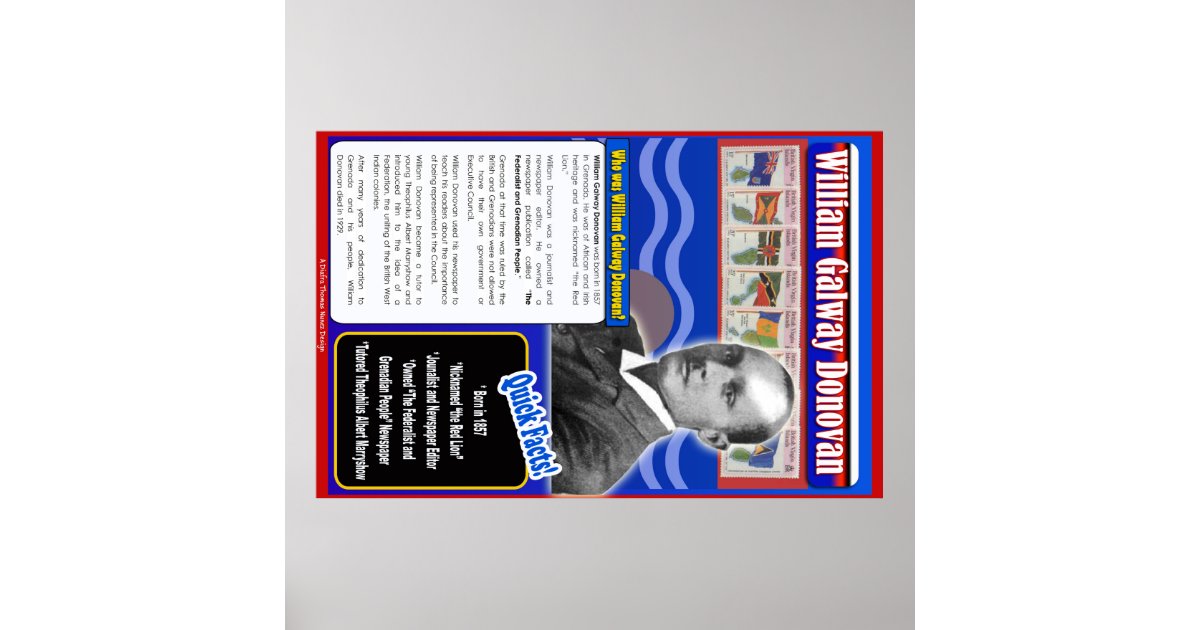 William Galway Donovan Biography Poster | Zazzle