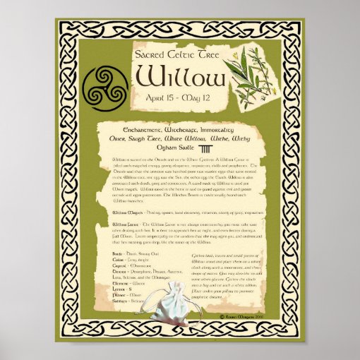 WILLOW CELTIC SACRED TREE POSTER | Zazzle