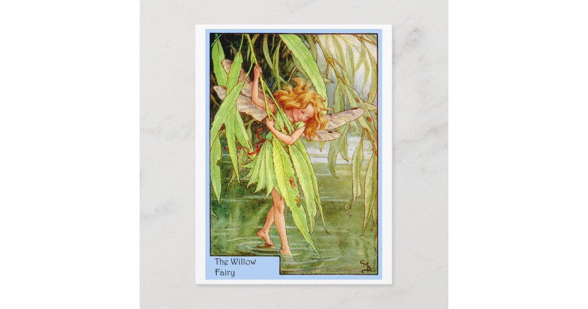 Willow Tree Fairy Postcard | Zazzle