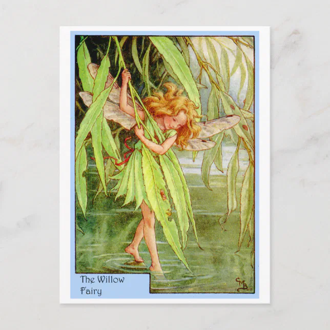Willow Tree Fairy Postcard | Zazzle