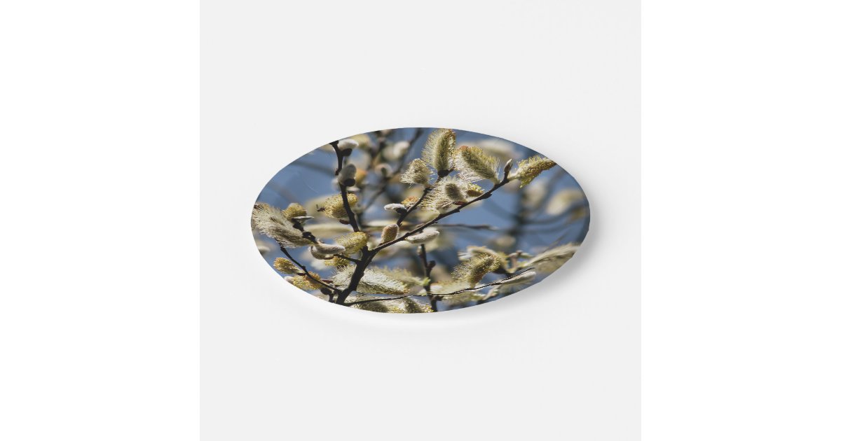 WILLOW TREE PAPER PLATES | Zazzle