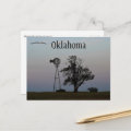 Windmill and Tree at Sunset in Oklahoma USA Postcard | Zazzle