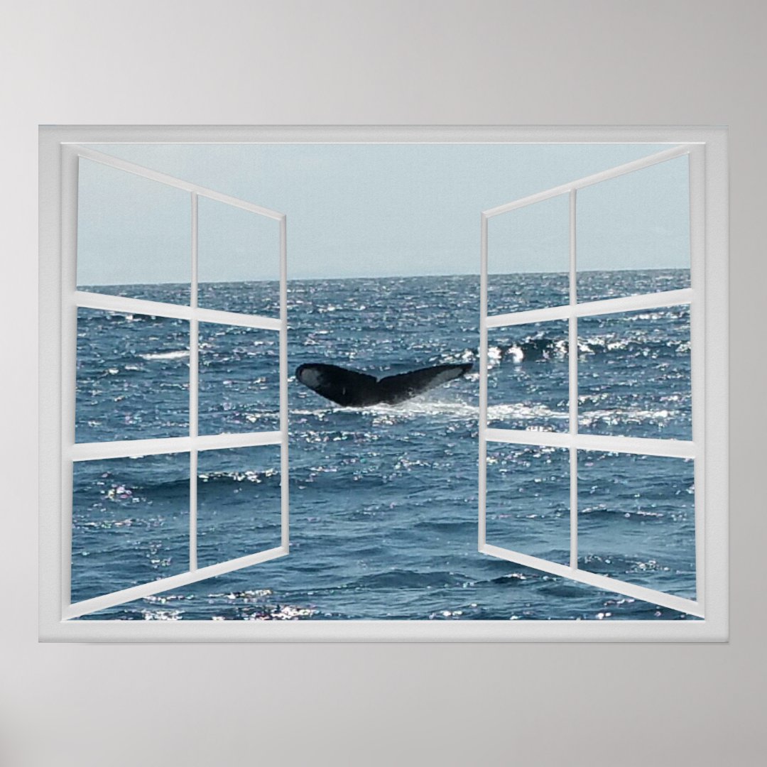 Window Frame with Whale Tail Poster | Zazzle