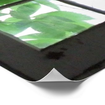 Window Poster | Zazzle