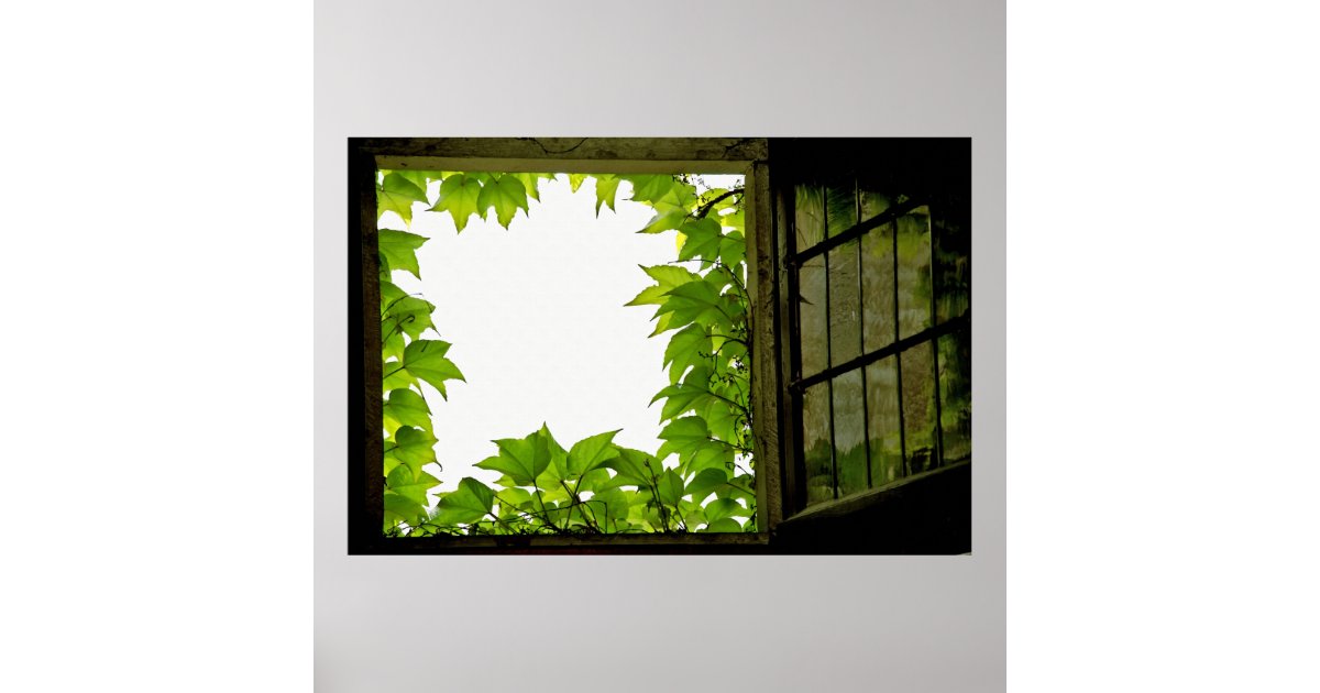 Window Print | Zazzle